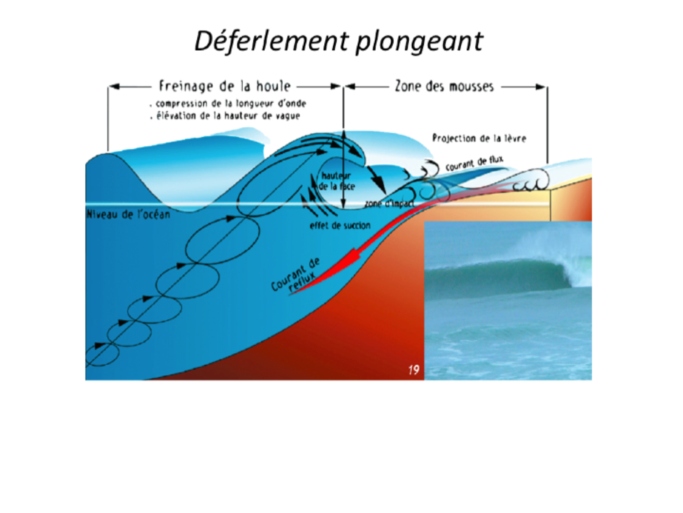 Le manuel du surf, Part three : Le déferlement des vagues, les courants ...